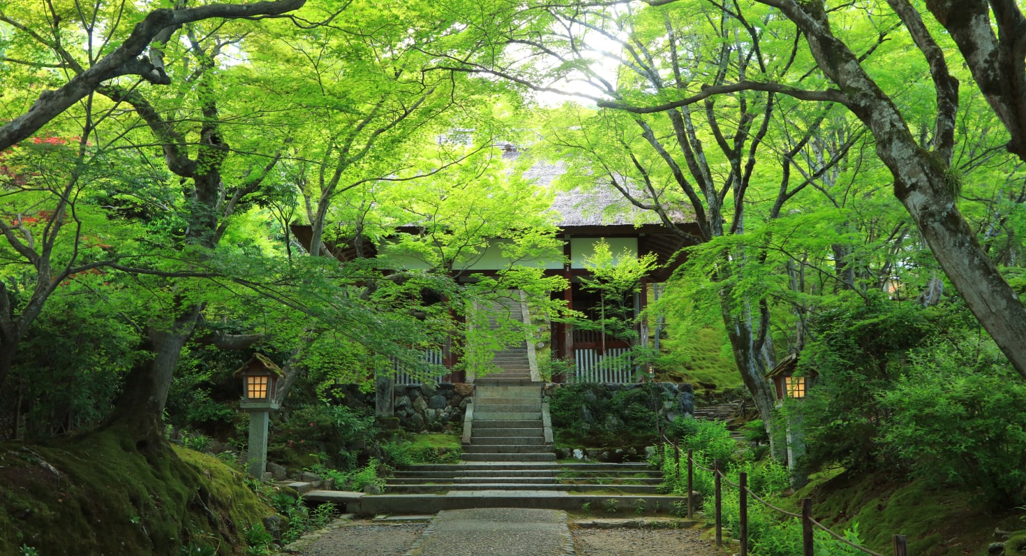 【終了】そうだ 京都、行こう。30周年特別プラン“限定オリジナル御守りプラン”｜そうだ 京都、行こう。