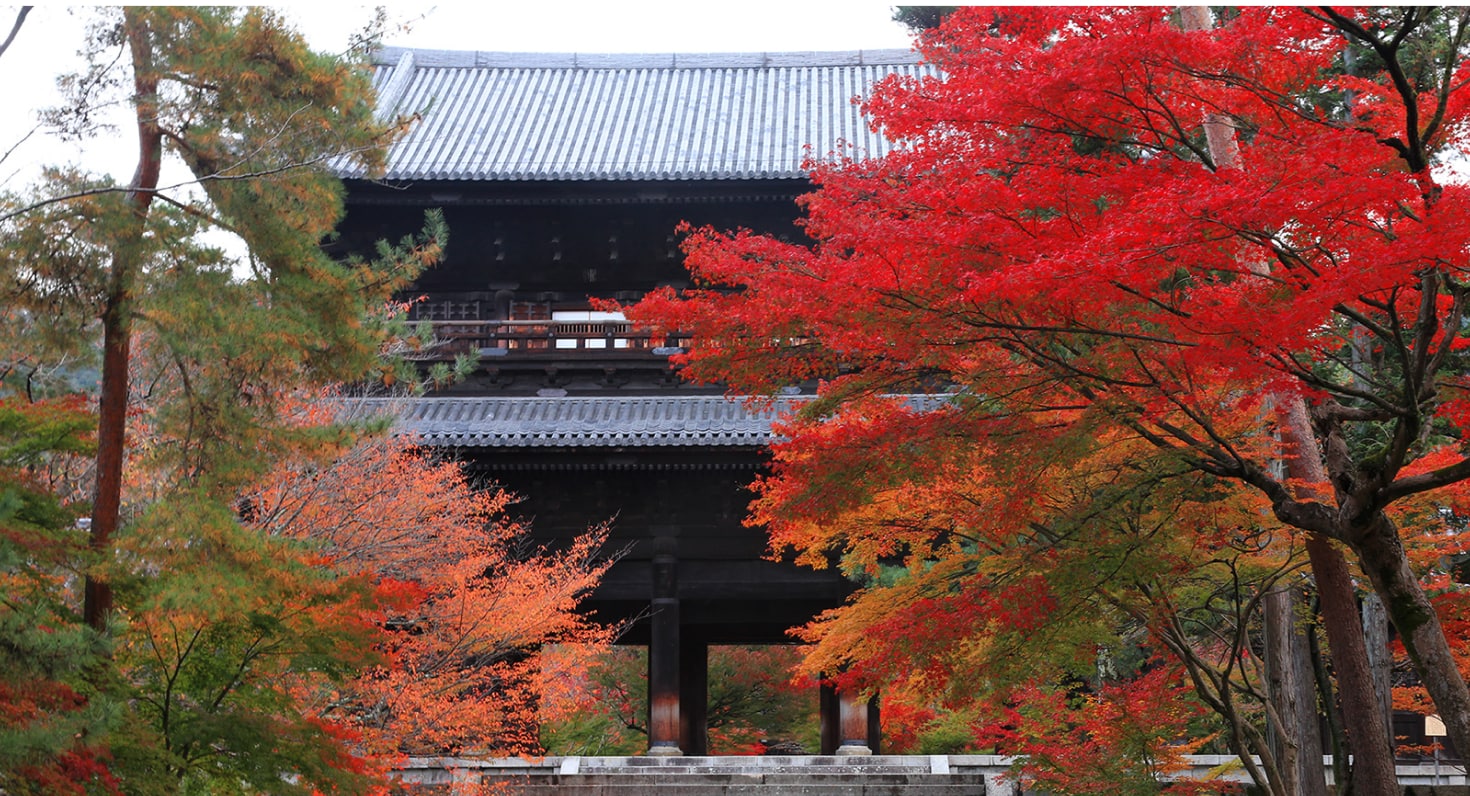 【終了】そうだ 京都、行こう。30周年特別プラン“限定オリジナル御守りプラン”｜そうだ 京都、行こう。